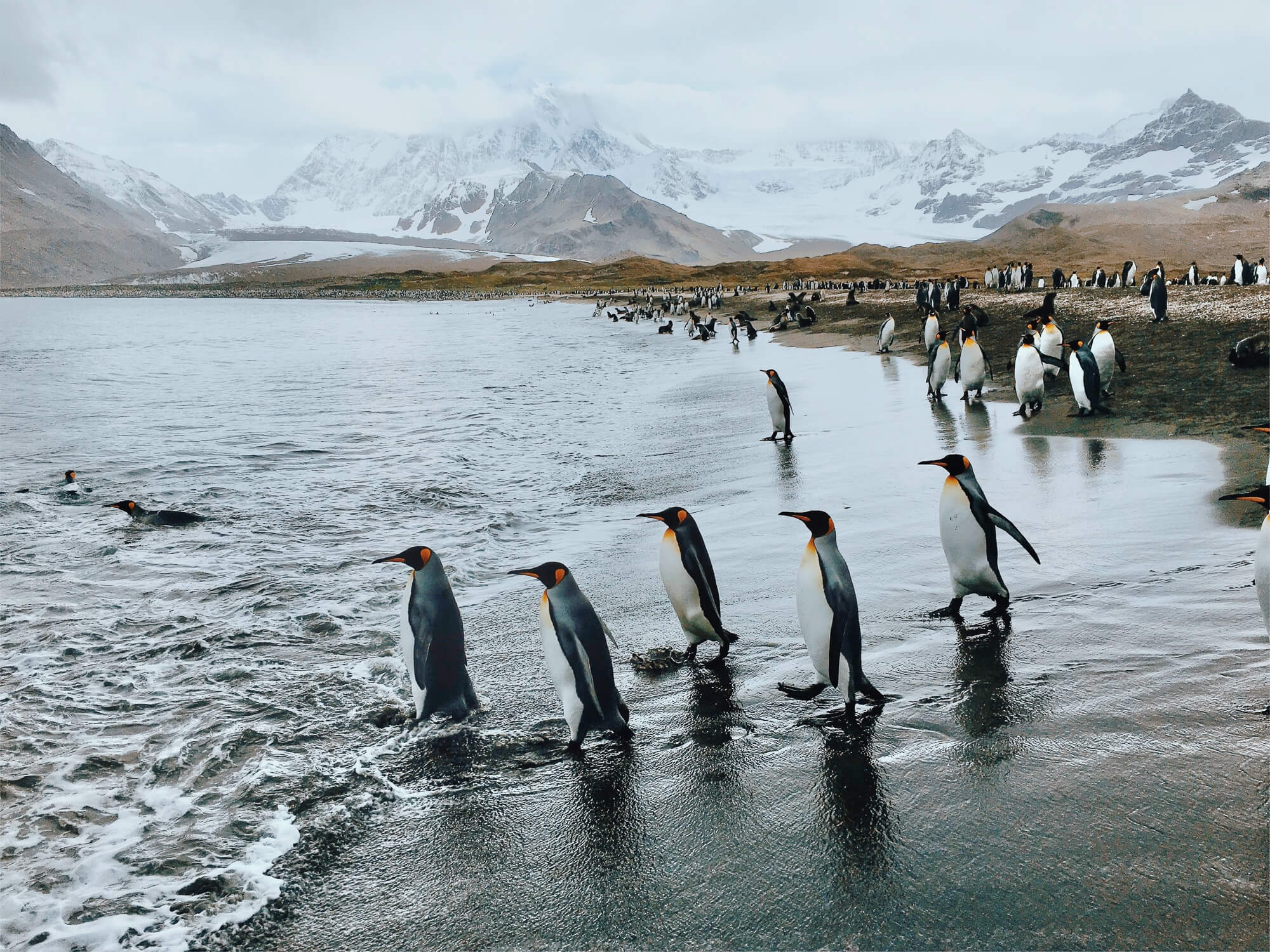 John Bozinov Behind The Image Interview – Langly Co